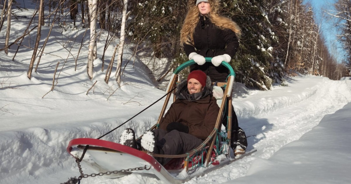 Dog sledding in Trentino